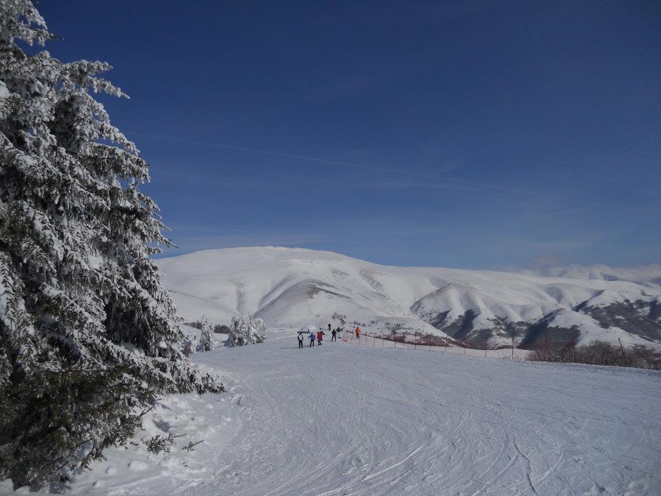 Konjarnik - Na Staroj Planini